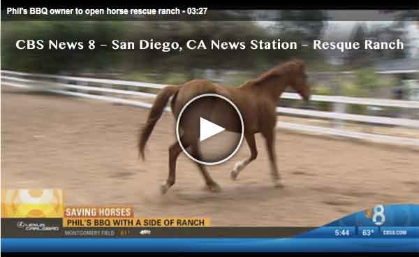 Index of /assets/images